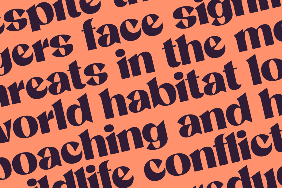 Claven Font - Eko Bimantara Font